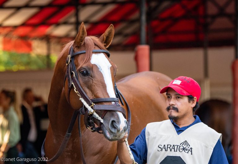 Zilla Racing Stables