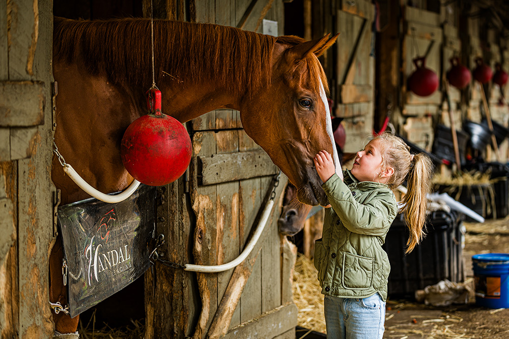 Ownership - Zilla Racing Stables