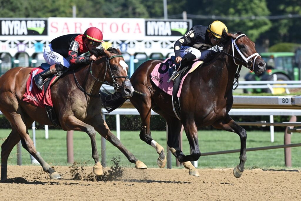 Arctic Beast lived up to his name with a powerhouse victory in the ...