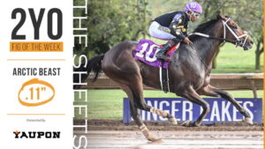 Zilla Racing Stables